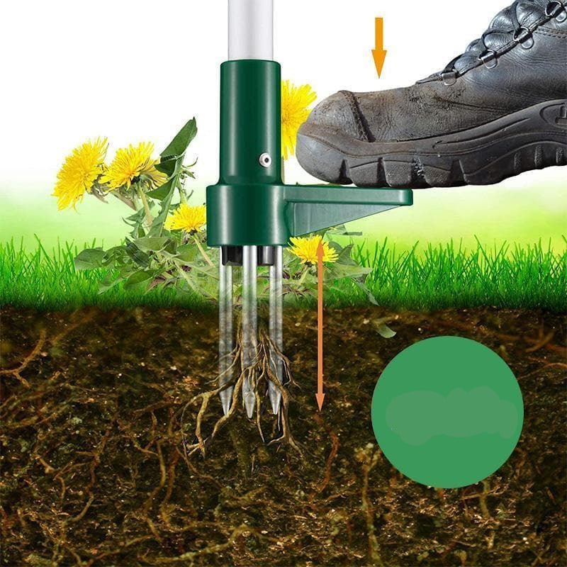 Standing Plant Root Remover – Linnaco